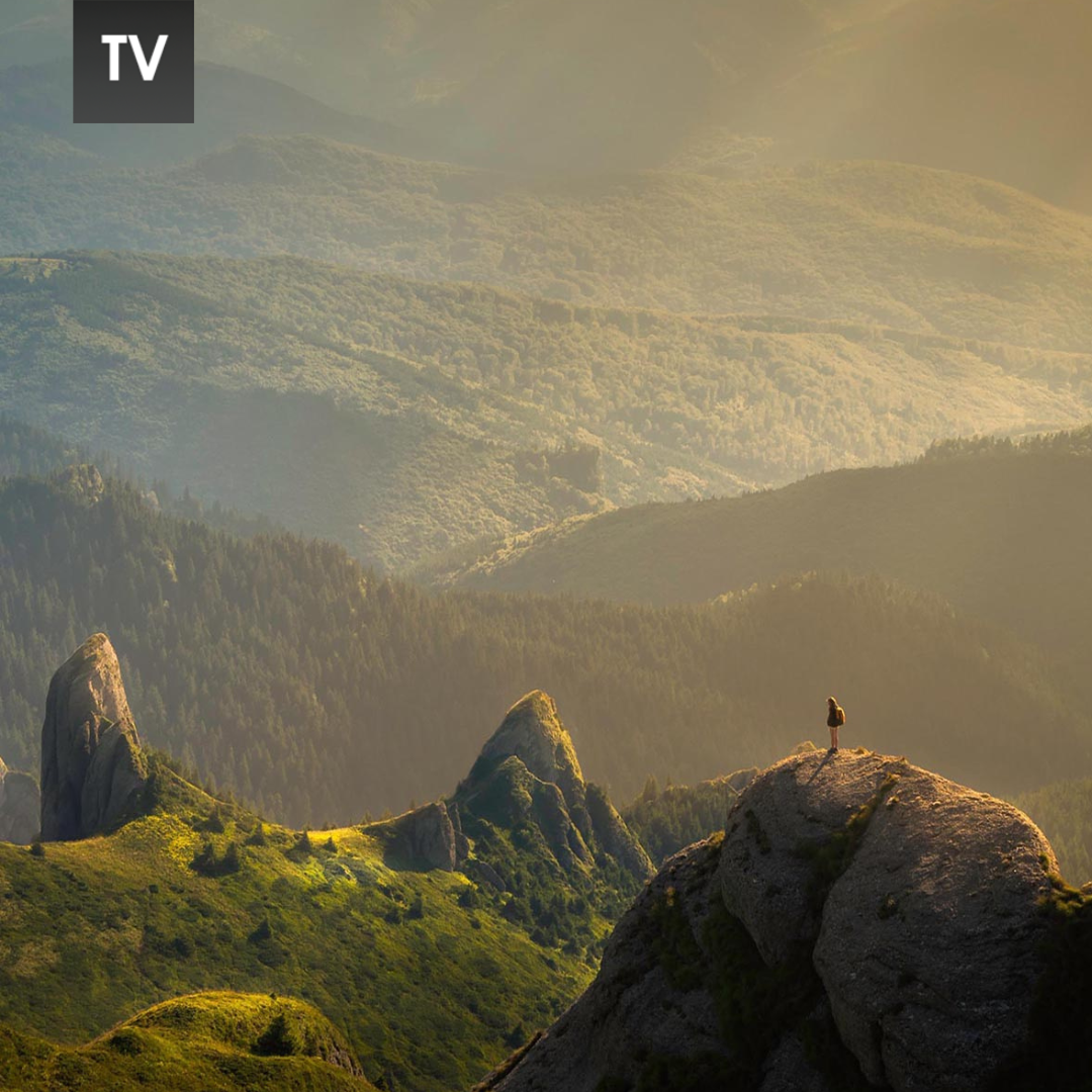 Playlists | Landscapes | Cezame Music Agency